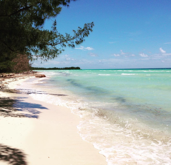 Where To Stay in the Bahamas: 5 Best Areas & Places